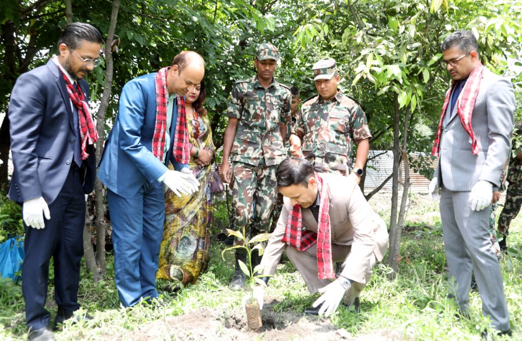Global IME Bank's Tree Plantation Initiative on World Environment Day ...