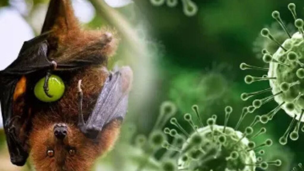 Nipah Virus in India Poses Risk to Nepal | News Detail | ShareHub